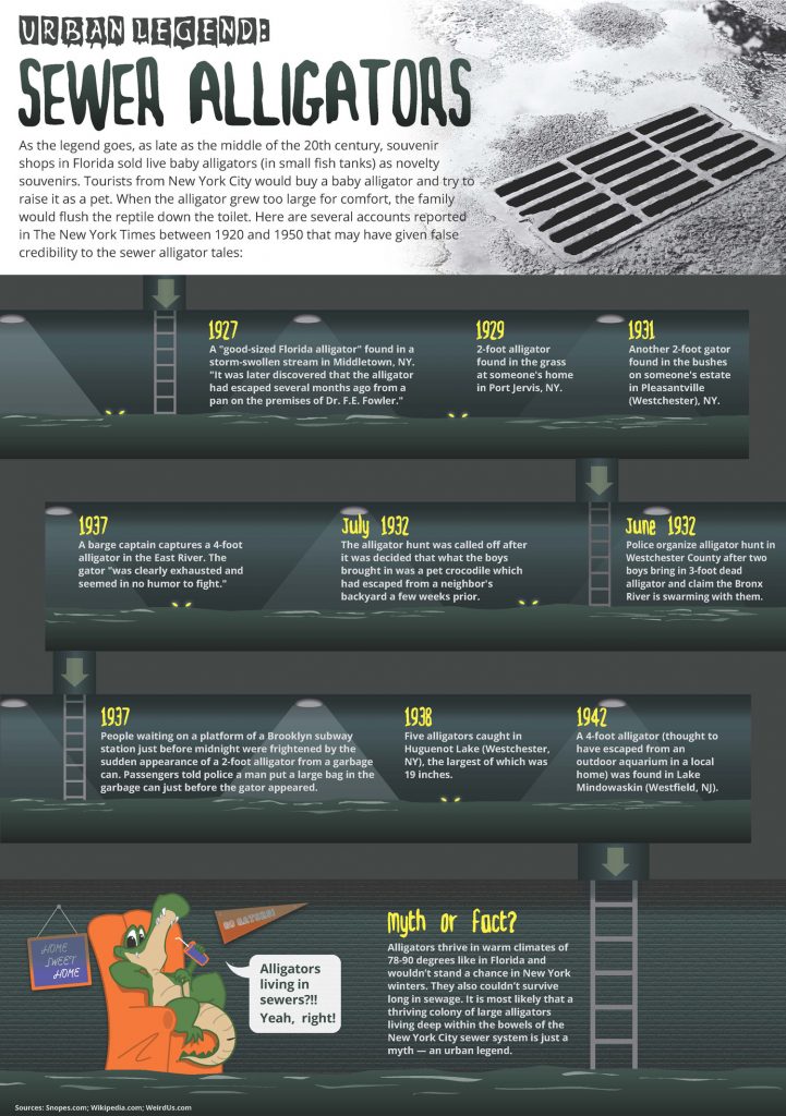 The Famous Urban Legend: Alligators in Sewer Pipes - Del Zotto Concrete ...